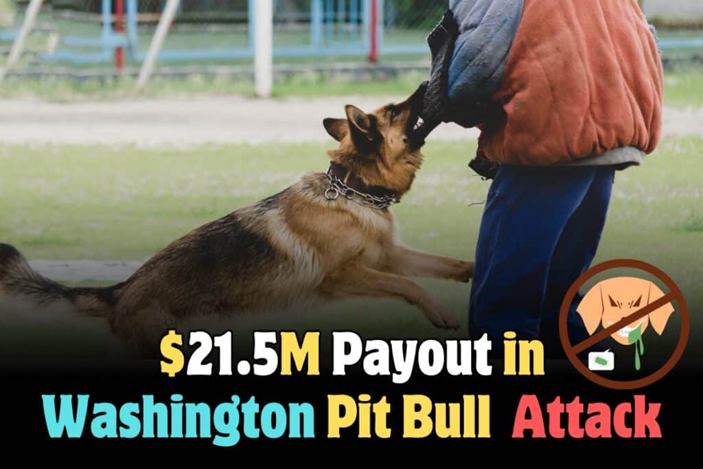 Jessica Dolphin Accident: The Viral Orca Attack Story That Fooled ...